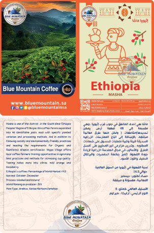 Blue Mountain Ethiopia Masha, Roasted Coffee Beans - 500gm