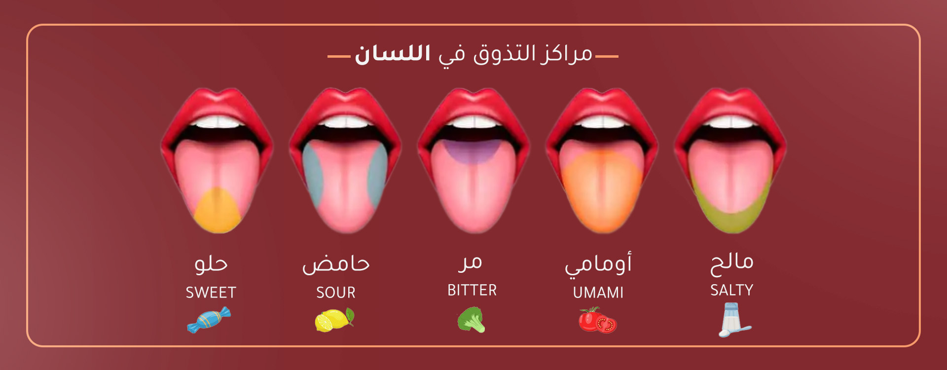 What is Umami? Elevate Your Coffee Experience