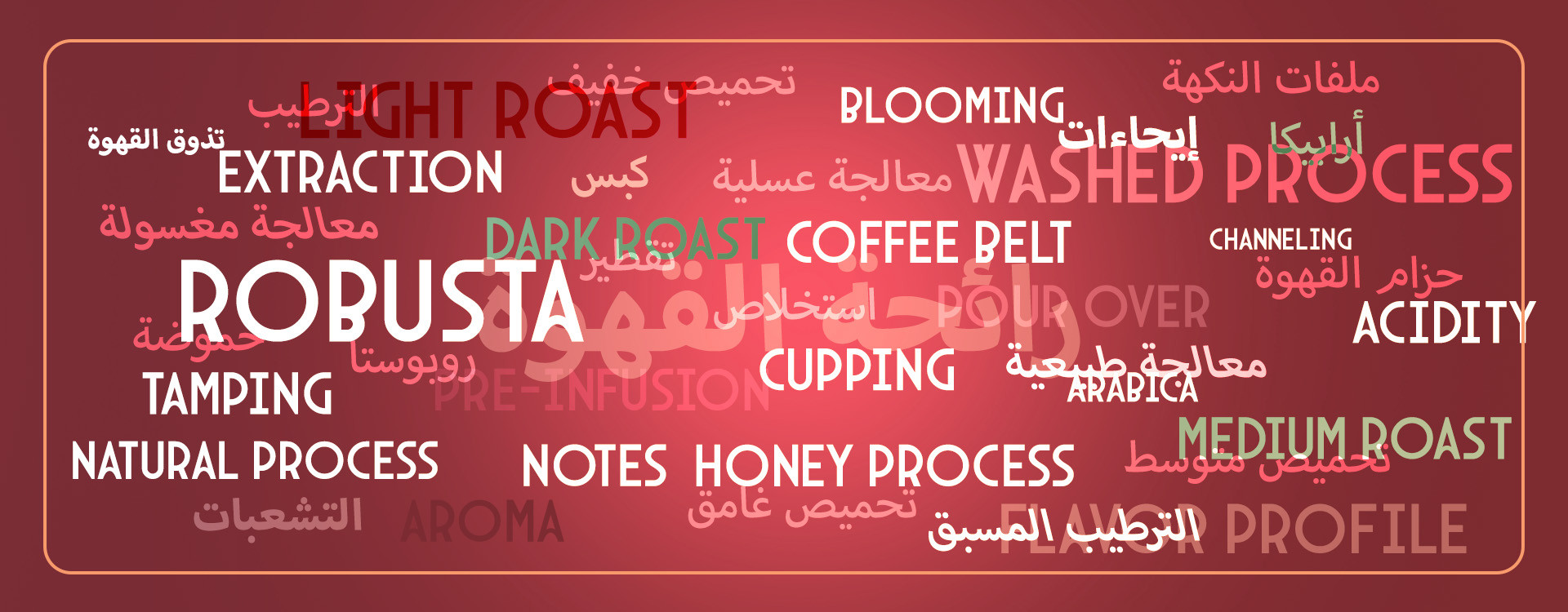 Coffee 101: Ultimate Guide to Coffee Terminology, Brewing, and Maintenance