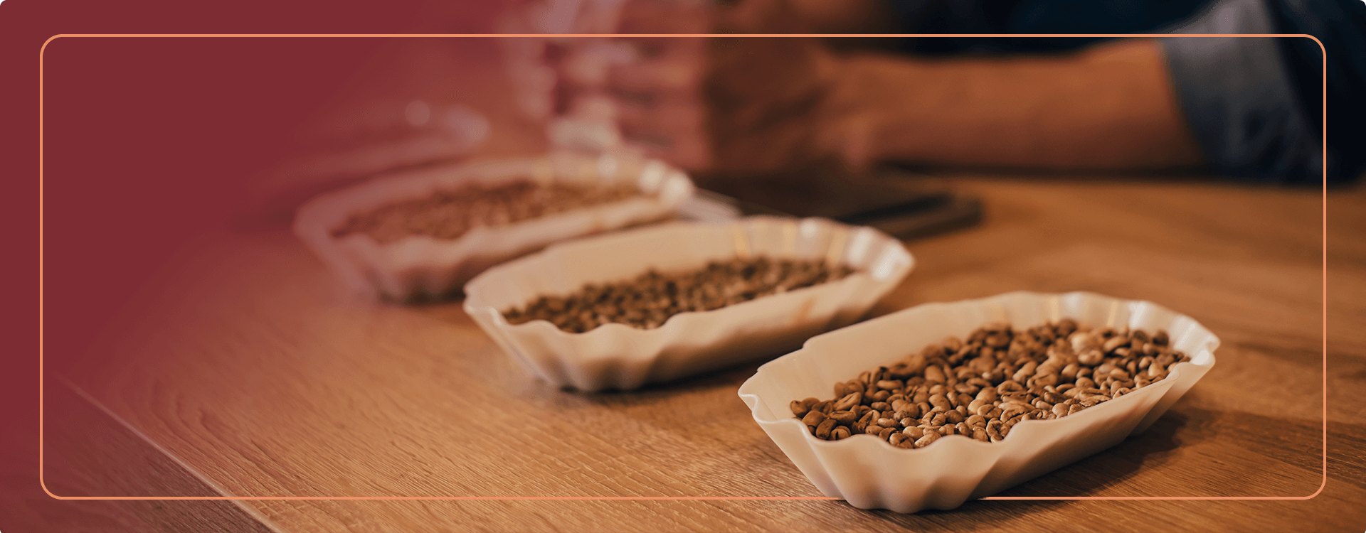 A Comprehensive Beginners Guide to Choosing Coffee Beans